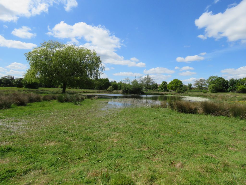 United Kingdom | EBCC - EBCC