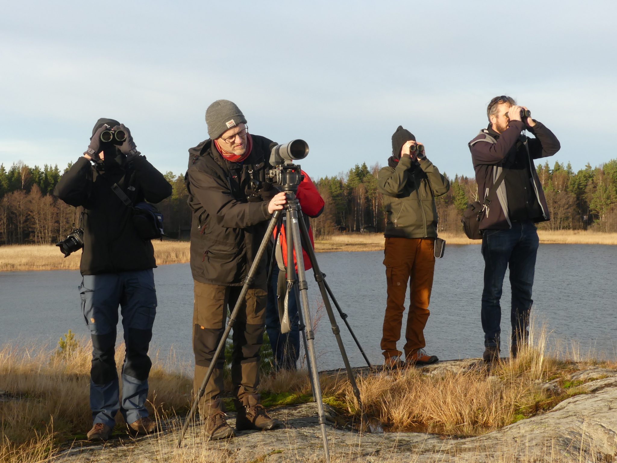 What we do | EBCC - EBCC