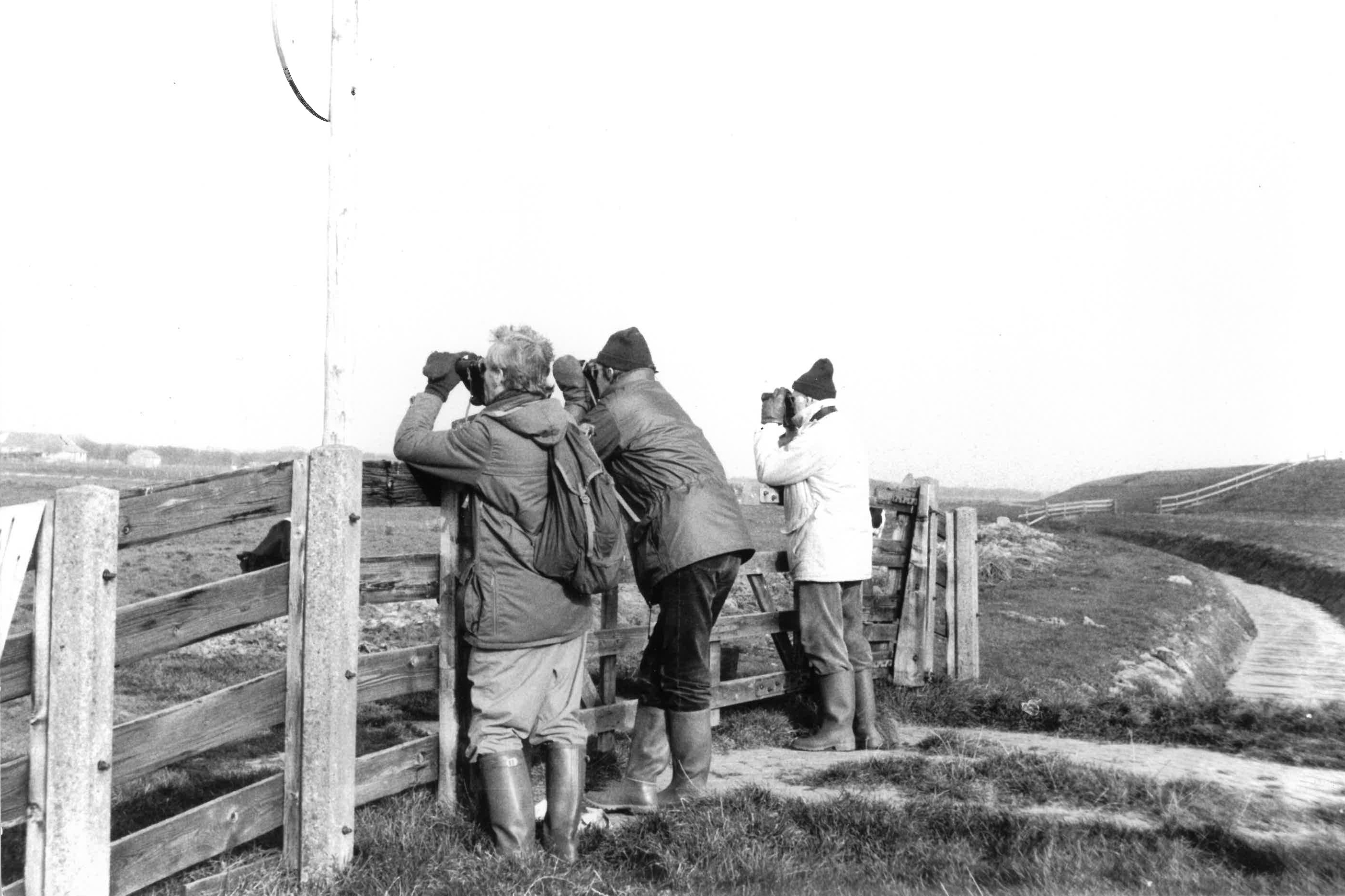 50 years of Sovon | EBCC - EBCC