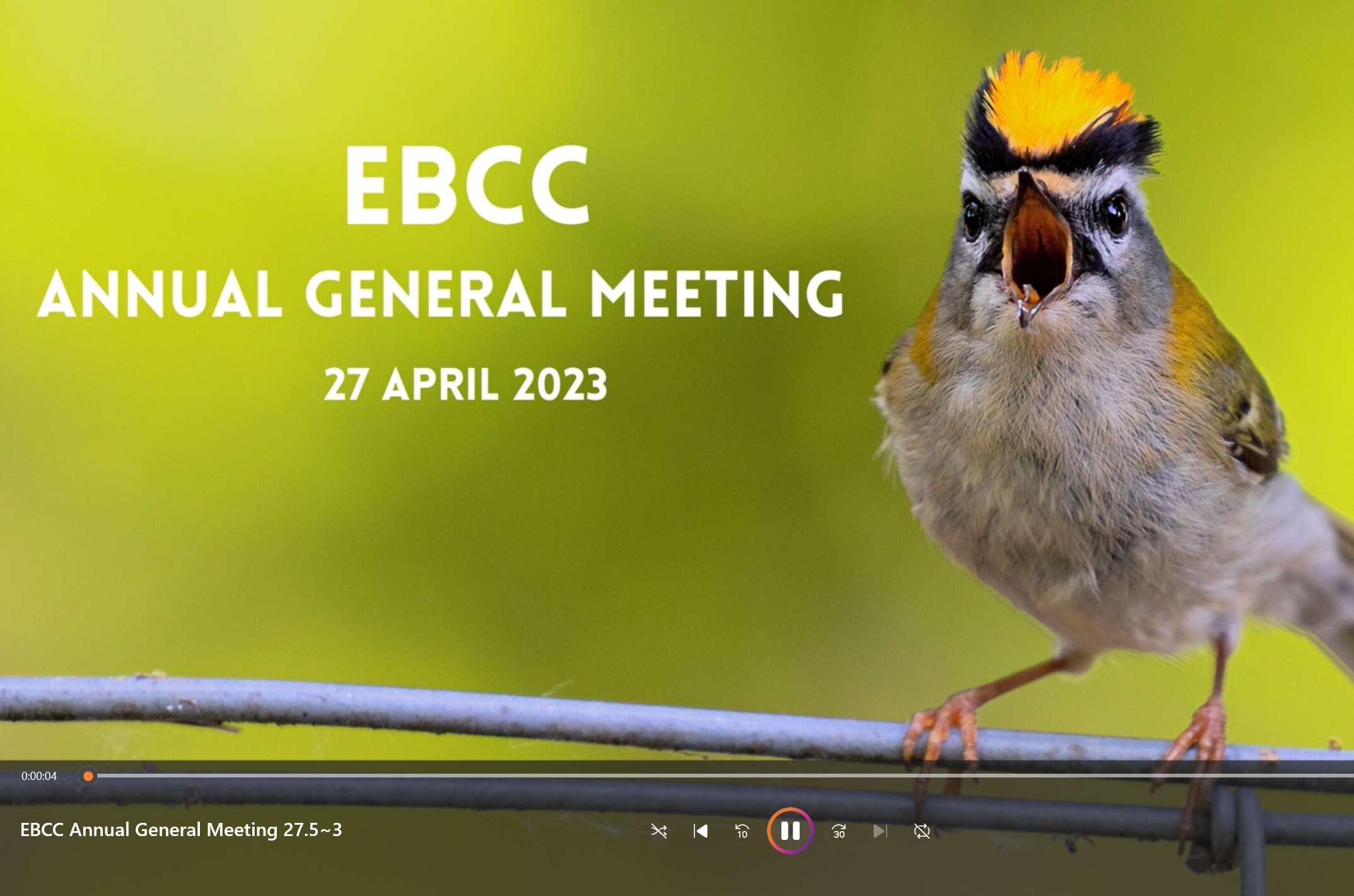 EBCC Annual General Meeting 2023 took place | EBCC - EBCC