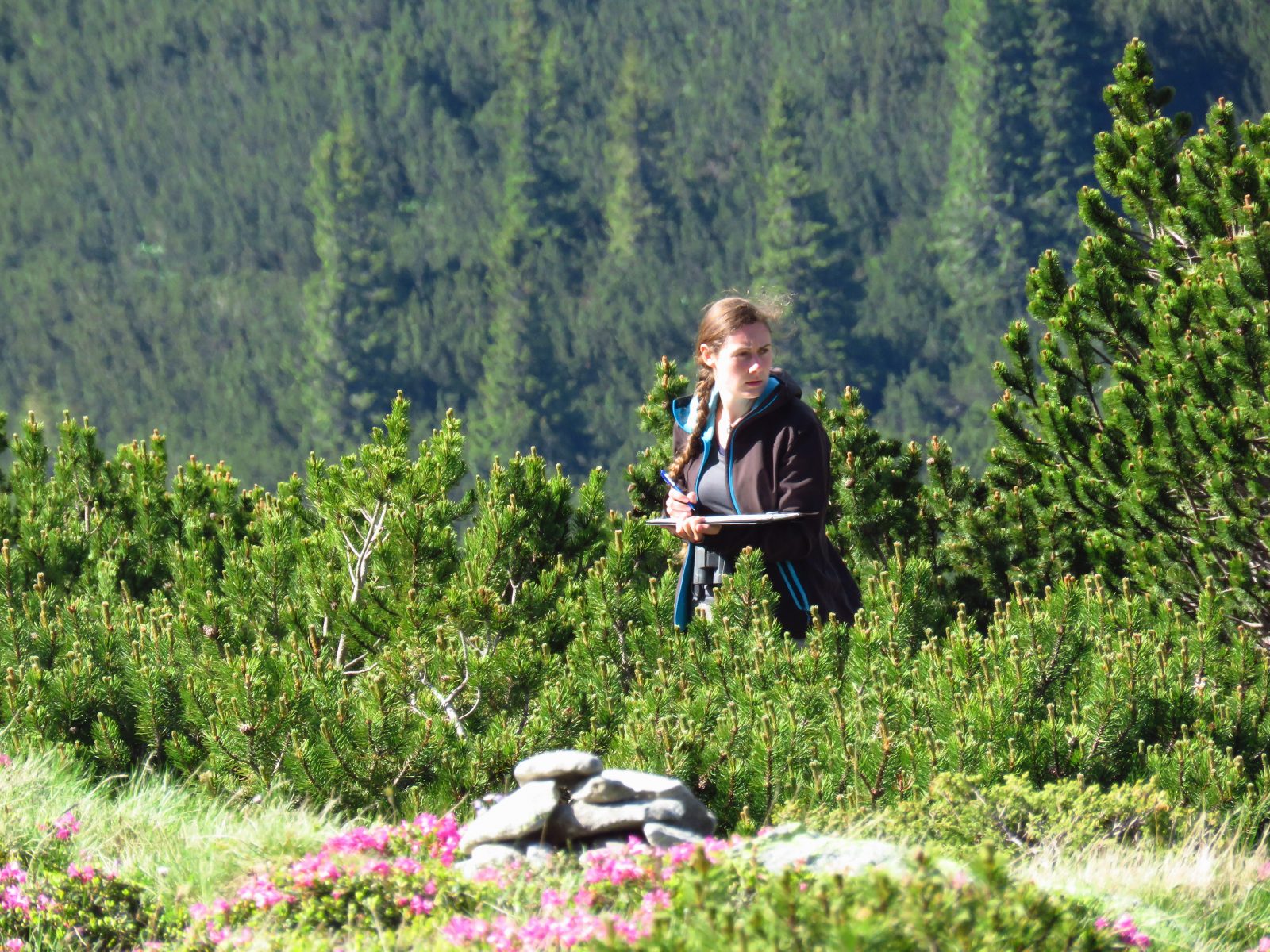 Six bird monitoring projects need your support | EBCC - EBCC