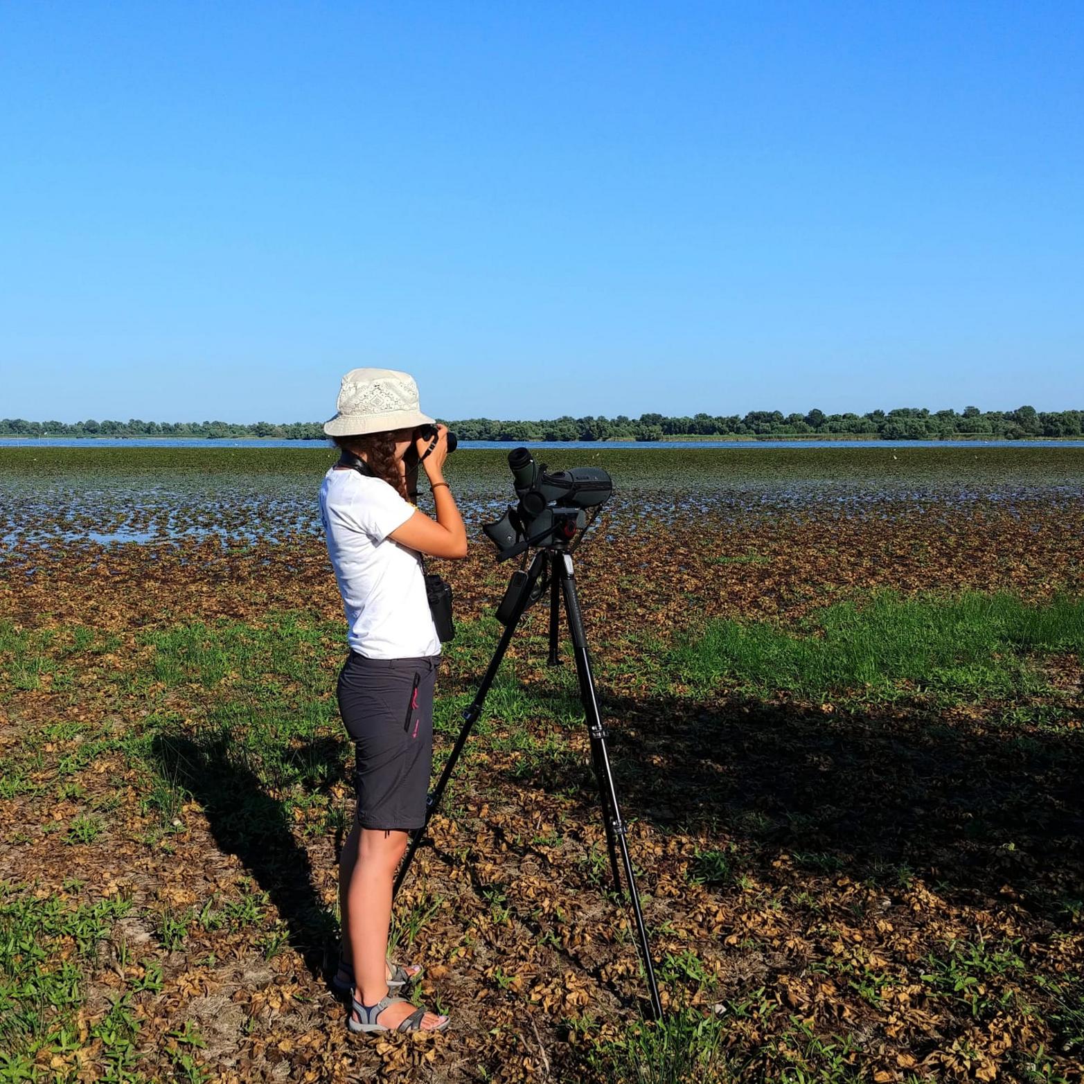 Six bird monitoring projects need your support | EBCC - EBCC