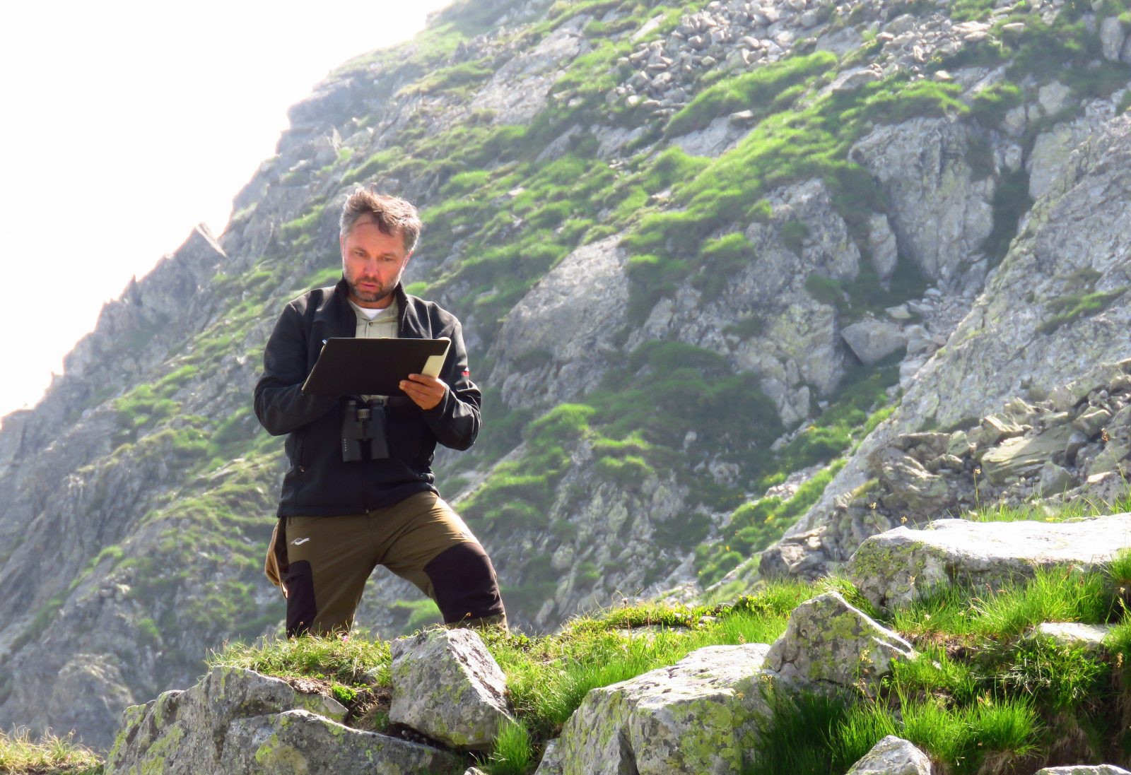 Six bird monitoring projects need your support | EBCC - EBCC