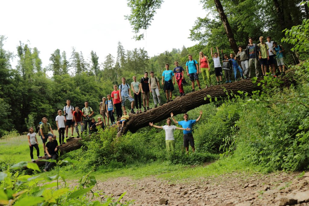 Six bird monitoring projects need your support | EBCC - EBCC