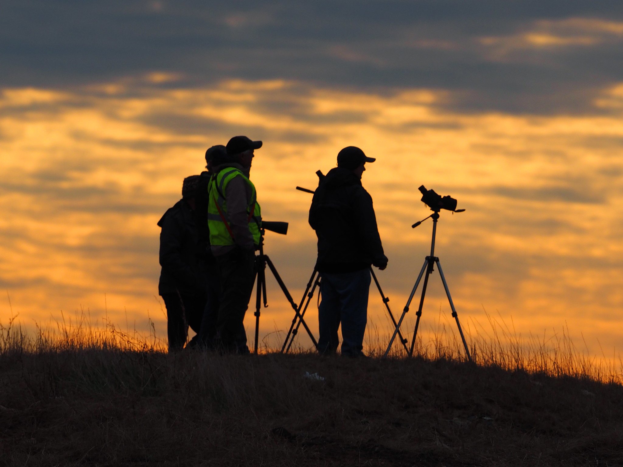 EBCC Small Grant Fund for Monitoring 2024. Call for applications ...