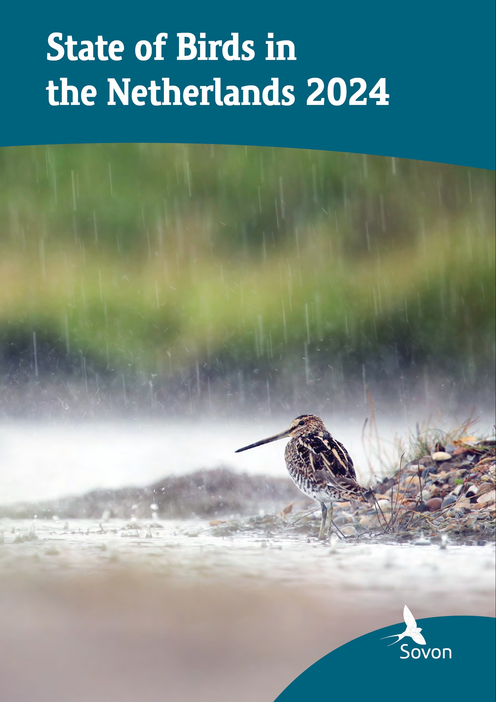 State of Birds in the Netherlands 2024 | EBCC - EBCC