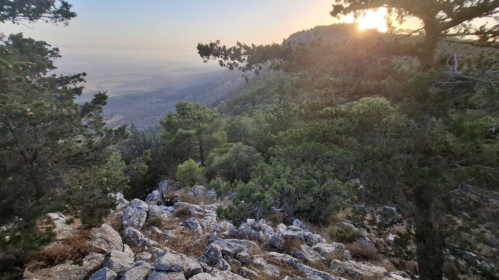 Bird Monitoring Across the Divide: Final Results from the Cyprus Bird ...